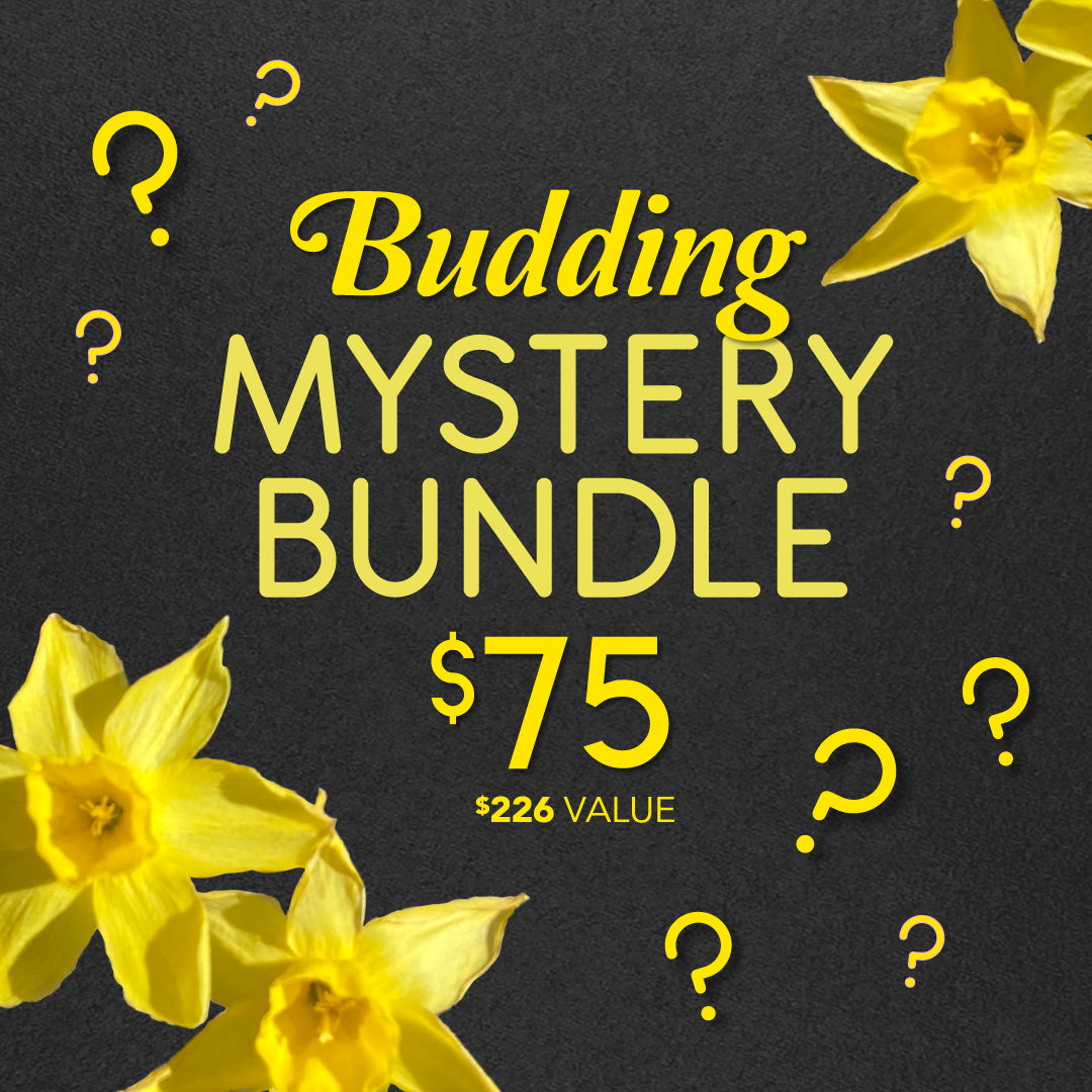 Mystery Bundles